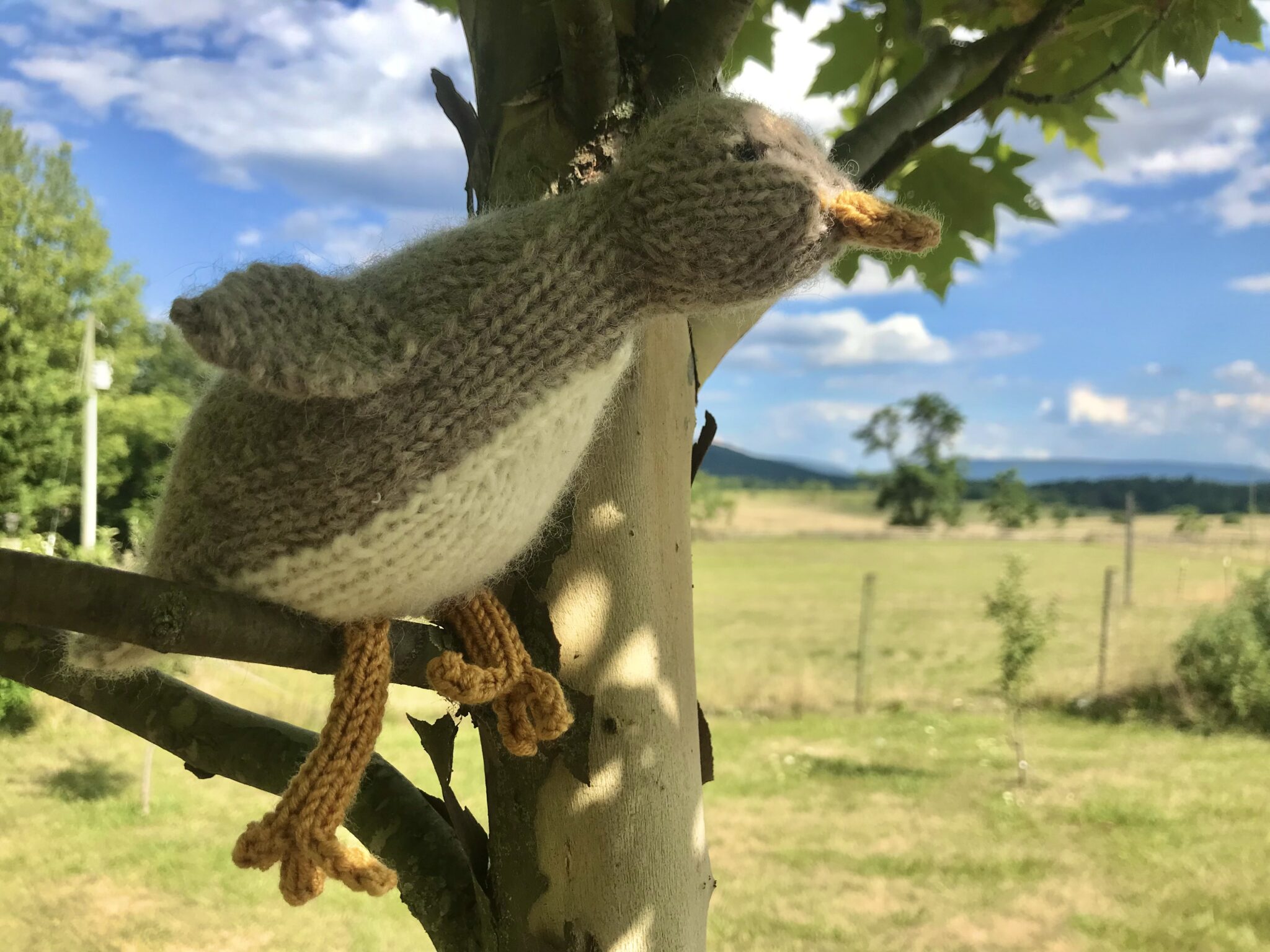 Knitted Bird: Free Knitting Pattern - Quiet Life Farm