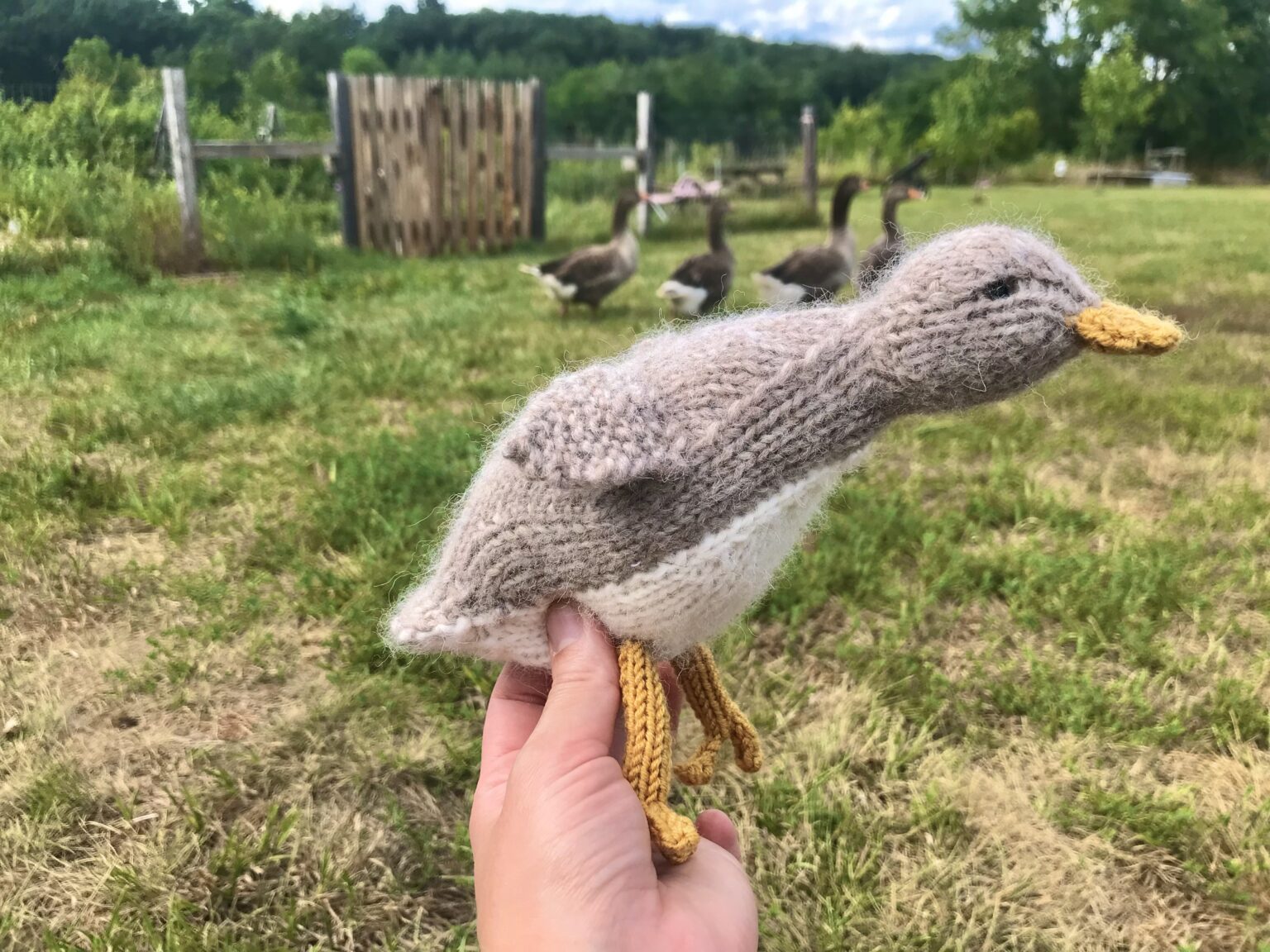 Knitted Bird: Free Knitting Pattern - Quiet Life Farm