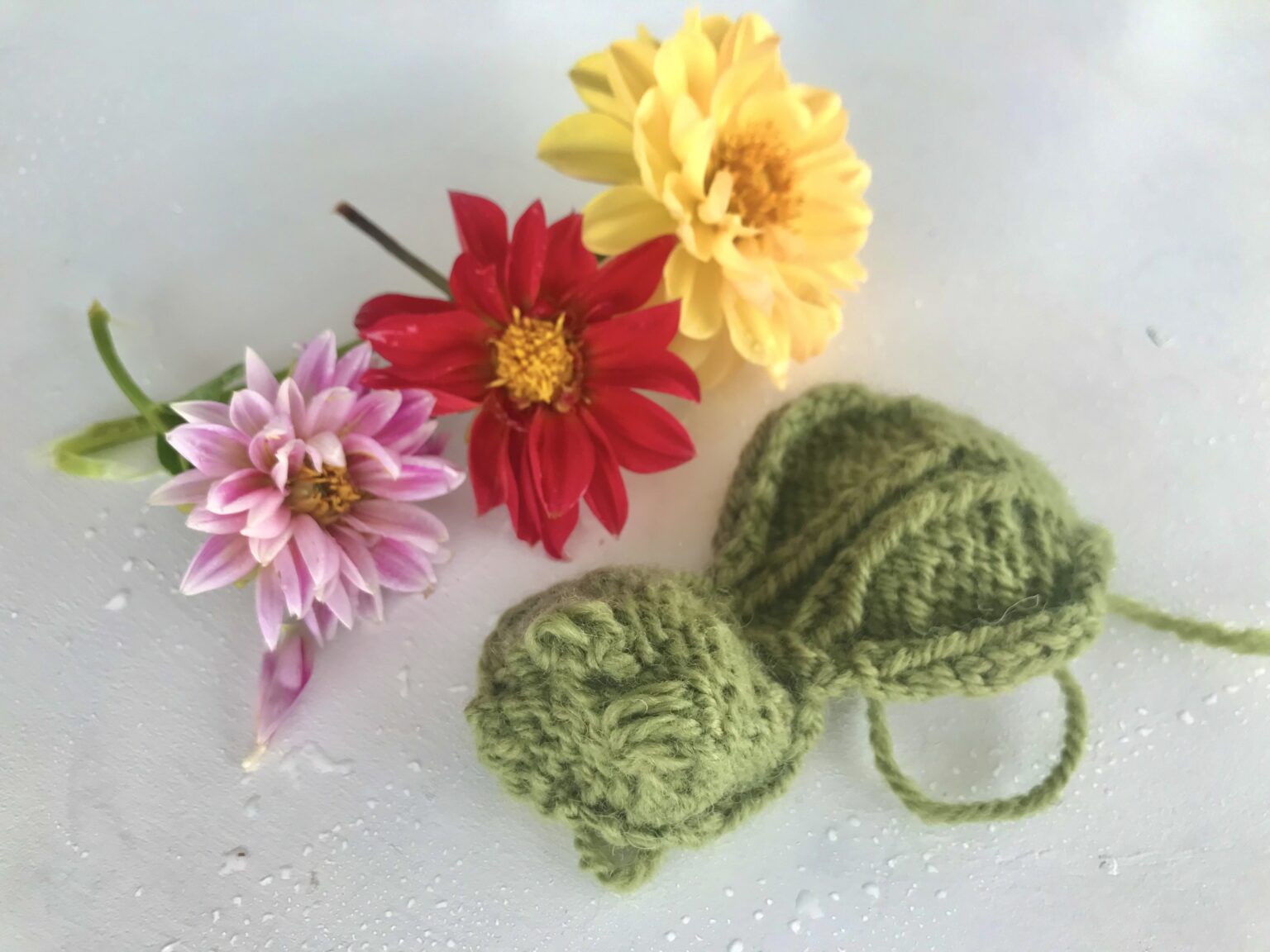 Knit Frog: Free Pattern and Tutorial - Quiet Life Farm