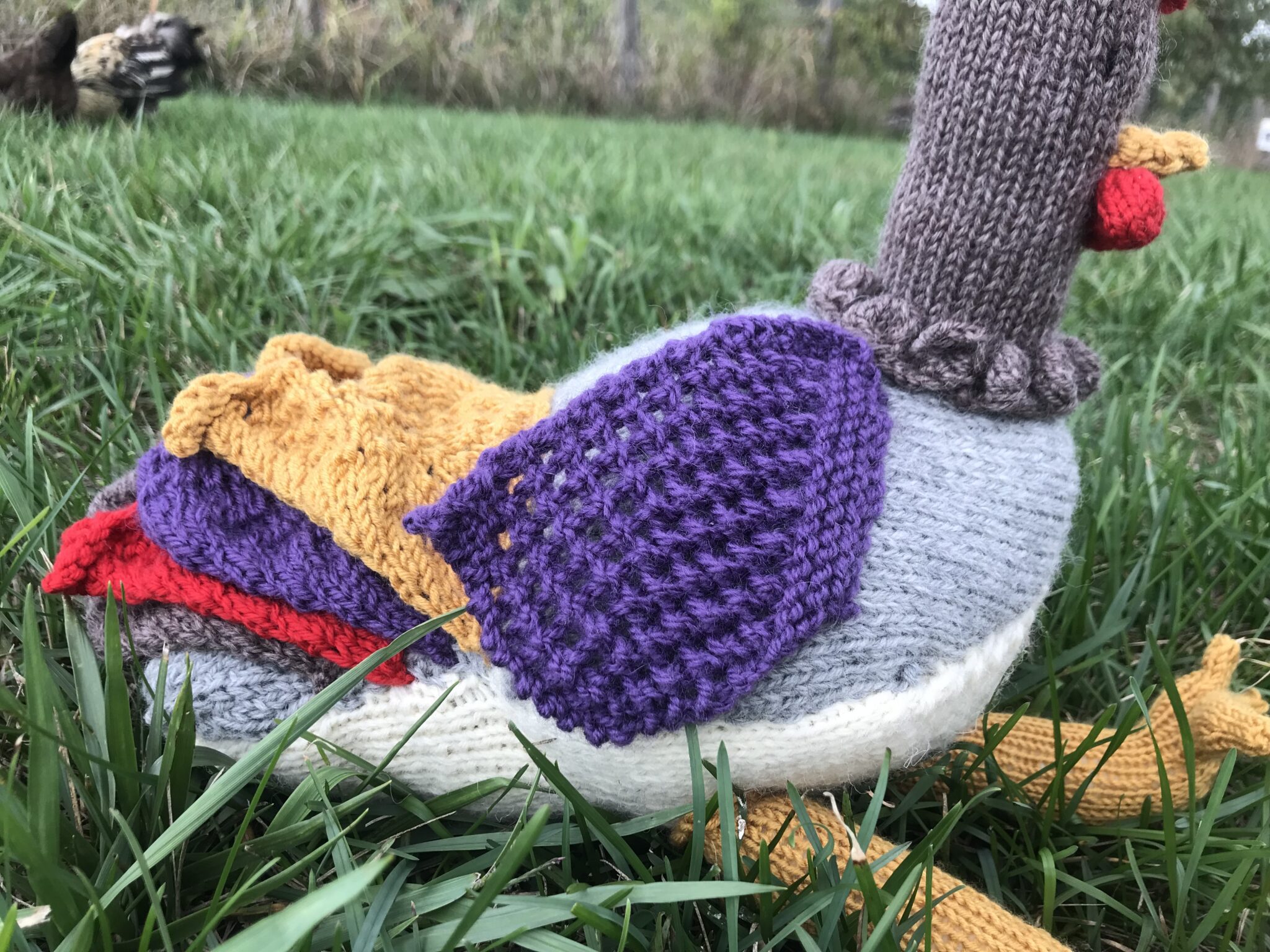 Knit Chicken Pattern - Quiet Life Farm