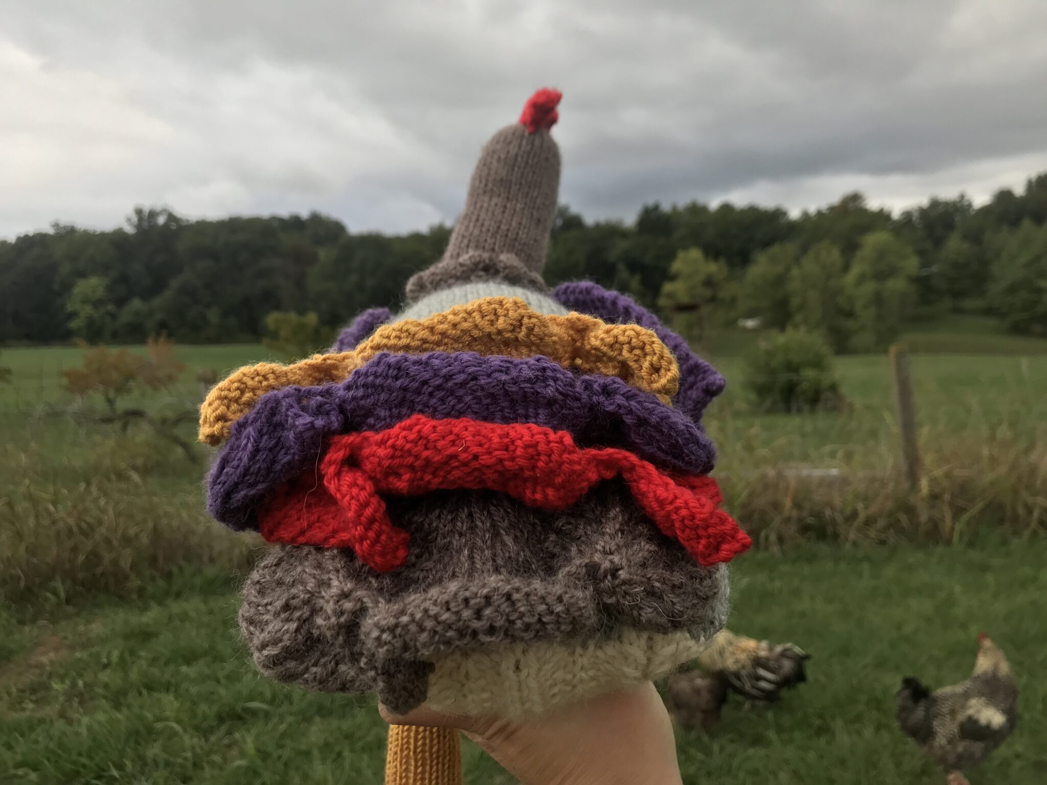 Knit Chicken Pattern - Quiet Life Farm
