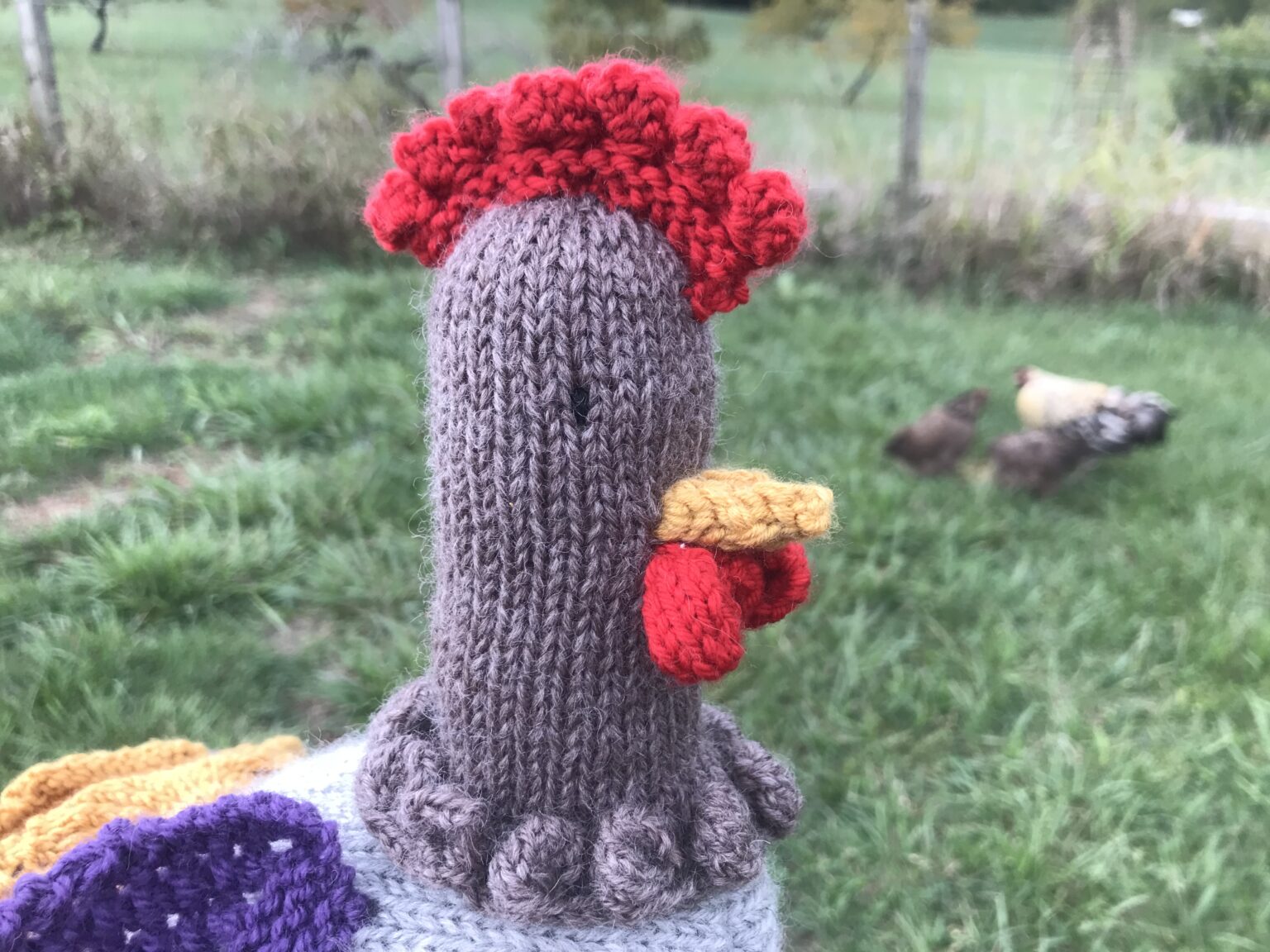 Knit Chicken Pattern - Quiet Life Farm