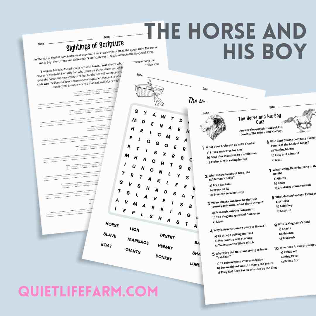 The Horse and His Boy - Quiet Life Farm