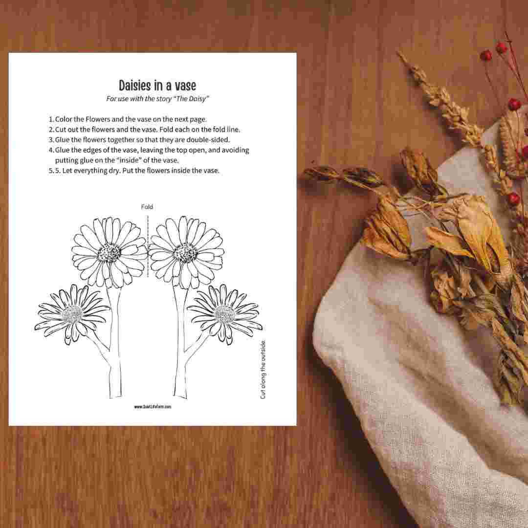The Snow Queen and Other Stories - Quiet Life Farm