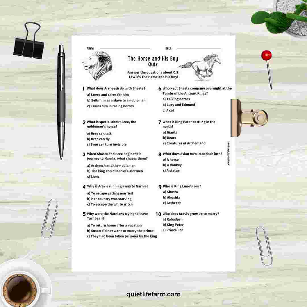 The Horse and His Boy - Quiet Life Farm