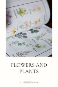 Free Nature Journal For Children - Quiet Life Farm